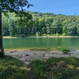 Tracy Ridge: Full Outer Loop, New York - 151 Reviews, Map | AllTrails