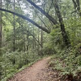 Chaminade Nature Trail, California - 474 Reviews, Map | AllTrails