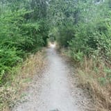 Chaminade Nature Trail, California - 389 Reviews, Map | AllTrails