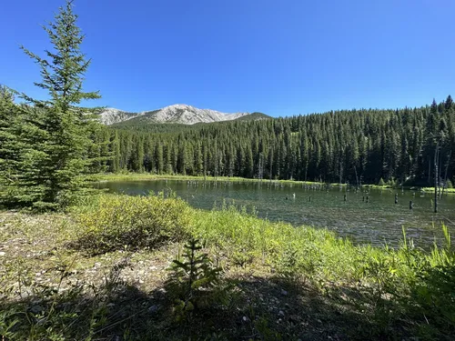 Best Hikes and Trails in Livingston Public Land Use Zone | AllTrails