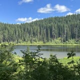 Marion Lake Trail, Oregon - 473 Reviews, Map | AllTrails