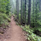 Marion Lake Trail, Oregon - 473 Reviews, Map | AllTrails