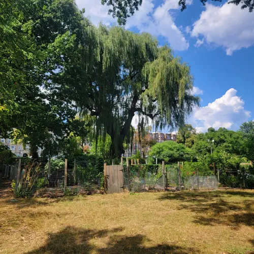 Best Hikes and Trails in Back Bay Fens | AllTrails