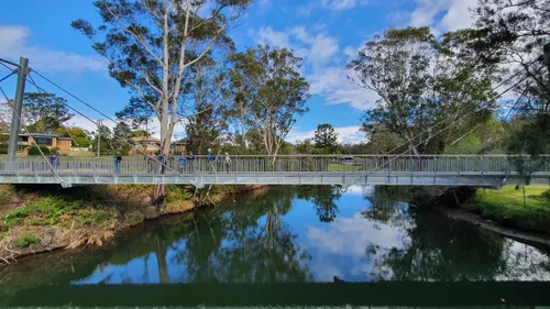 2023 Best Forest Trails in Dora Creek¬ | AllTrails