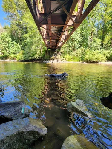 2023 Best River Trails in Maple Valley | AllTrails