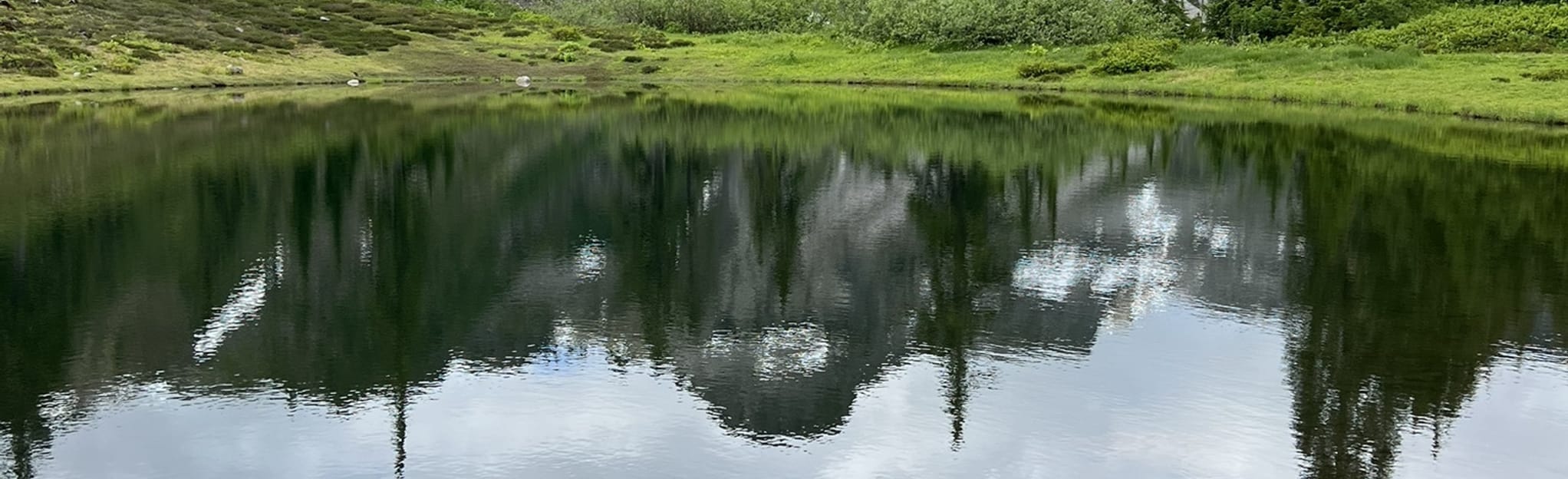 Heather Meadows and Artists Point Trail: 398 Reviews, Map - Washington ...