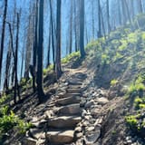 Natural Rock Arch Trail, Oregon - 219 Reviews, Map | AllTrails