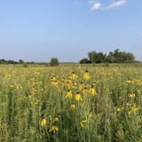 Springbrook Prairie Trail, Illinois - 1,080 Reviews, Map | AllTrails