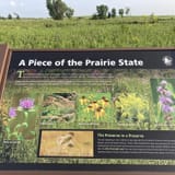 Springbrook Prairie Trail, Illinois - 1,080 Reviews, Map | AllTrails