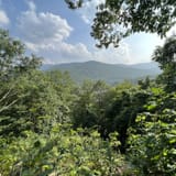 Tanbark Loop, New York - 574 Reviews, Map | AllTrails