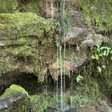 Tanbark Loop, New York - 574 Reviews, Map | AllTrails