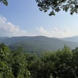 Tanbark Loop, New York - 574 Reviews, Map | AllTrails