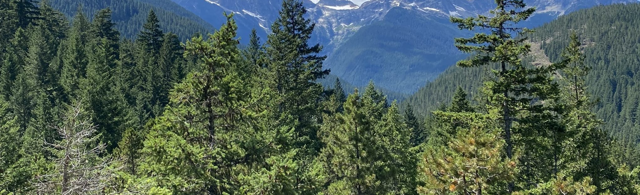 Ross Dam Trail, Washington - 694 Reviews, Map | AllTrails