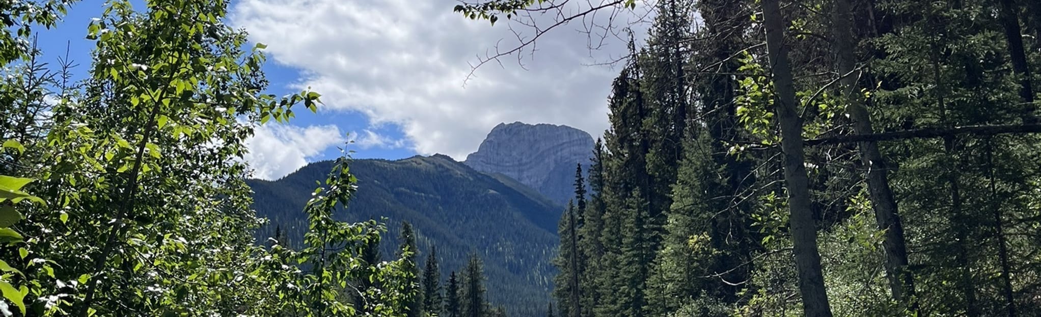 South Wind Hoodoos Trail, Alberta, Canada - 13 Reviews, Map | AllTrails