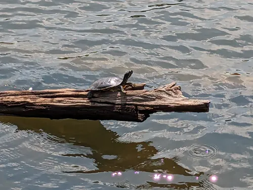 2023 Best Lake Trails in Fort Eustis | AllTrails