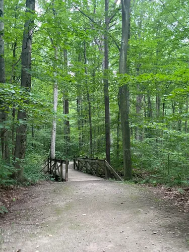 Best Hikes and Trails in Creek Ridge County Park | AllTrails