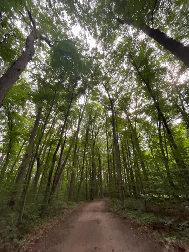 Best Hikes and Trails in Creek Ridge County Park | AllTrails