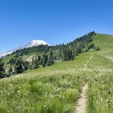 Tatoosh Ridge Trail, Washington - 342 Reviews, Map | AllTrails