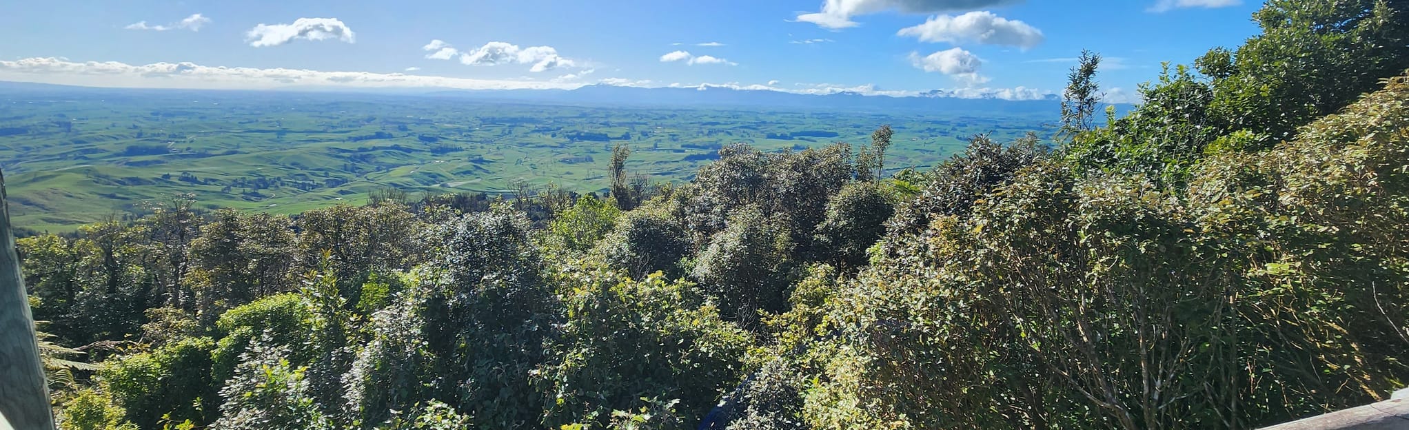 Te Tapui Loop Track: 80 fotos - Waikato, Nueva Zelanda | AllTrails
