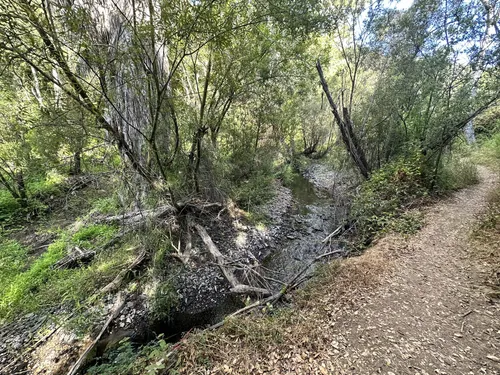 Best Hikes and Trails in Rustic Canyon Park | AllTrails
