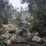 Flaxton Walkers Camp and Baxter Falls, Queensland, Australia - 319 ...