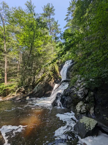 Best Hikes and Trails in Campbell Falls State Park | AllTrails
