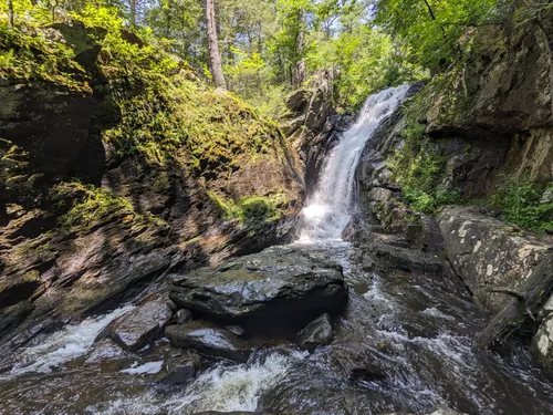 Best Hikes and Trails in Campbell Falls State Park | AllTrails
