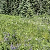 Bisaro Cave via Heiko's Trail, British Columbia, Canada - 69 Reviews ...