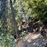 Bisaro Cave via Heiko's Trail, British Columbia, Canada - 69 Reviews ...