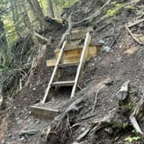 Bisaro Cave via Heiko's Trail, British Columbia, Canada - 69 Reviews ...