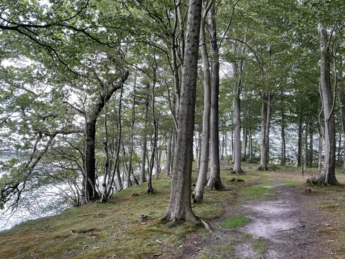 2023 Best Camping Trails in Taulov | AllTrails