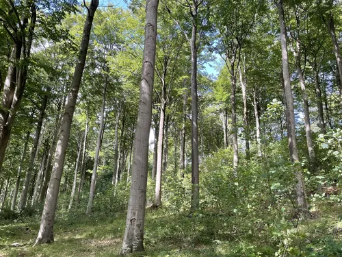 2023 Best Camping Trails in Taulov | AllTrails