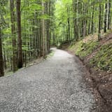 Eibsee Loop, Bavaria, Germany - 771 Reviews, Map | AllTrails
