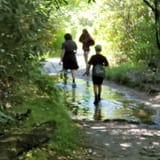 Hebron Falls via Boone Fork Trail, North Carolina - 1,147 Reviews, Map ...