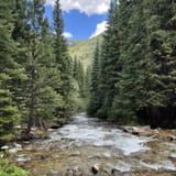 River Run Trail , Colorado - 173 Reviews, Map | AllTrails
