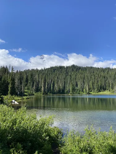 10 Best Trails and Hikes in Longmire | AllTrails