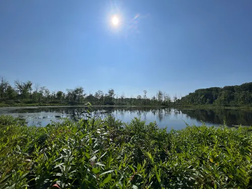 Best Hikes and Trails in Spicer Lake Nature Preserve | AllTrails