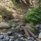 Ritchey Canyon Trail and Coyote Peak, California - 1,053 Reviews, Map ...