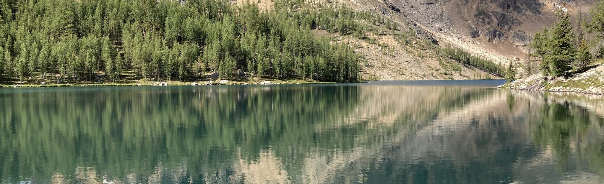 Lady Slipper Lake: 39 Reviews, Map - British Columbia, Canada | AllTrails