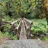 Shady Lane Trail, Washington - 161 Reviews, Map | AllTrails