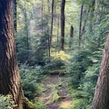 Inman Pond Trail, New York - 321 Reviews, Map | AllTrails