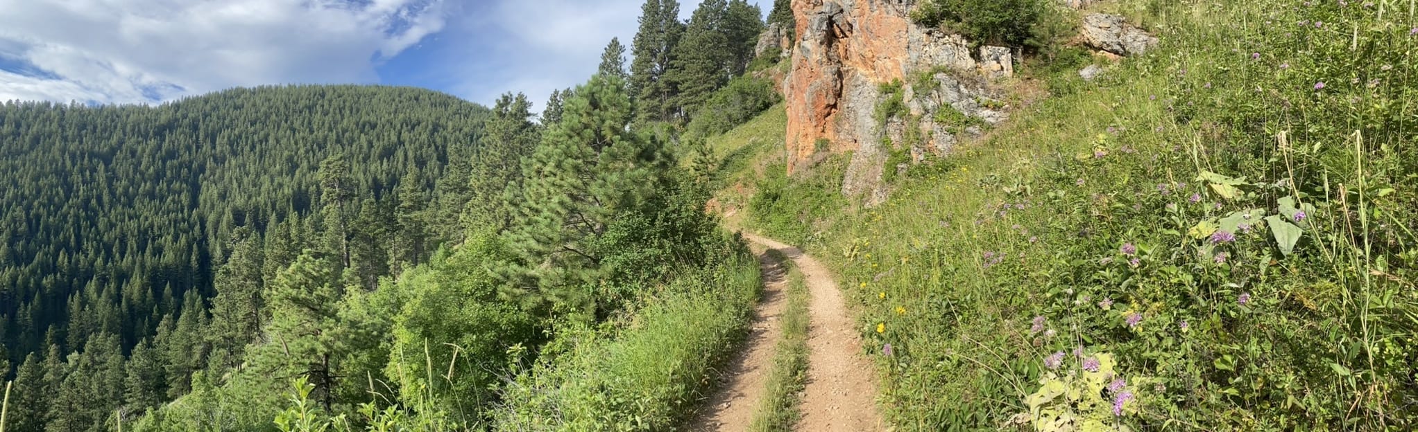Story Penrose Trail: 115 Reviews, Map - Wyoming | AllTrails
