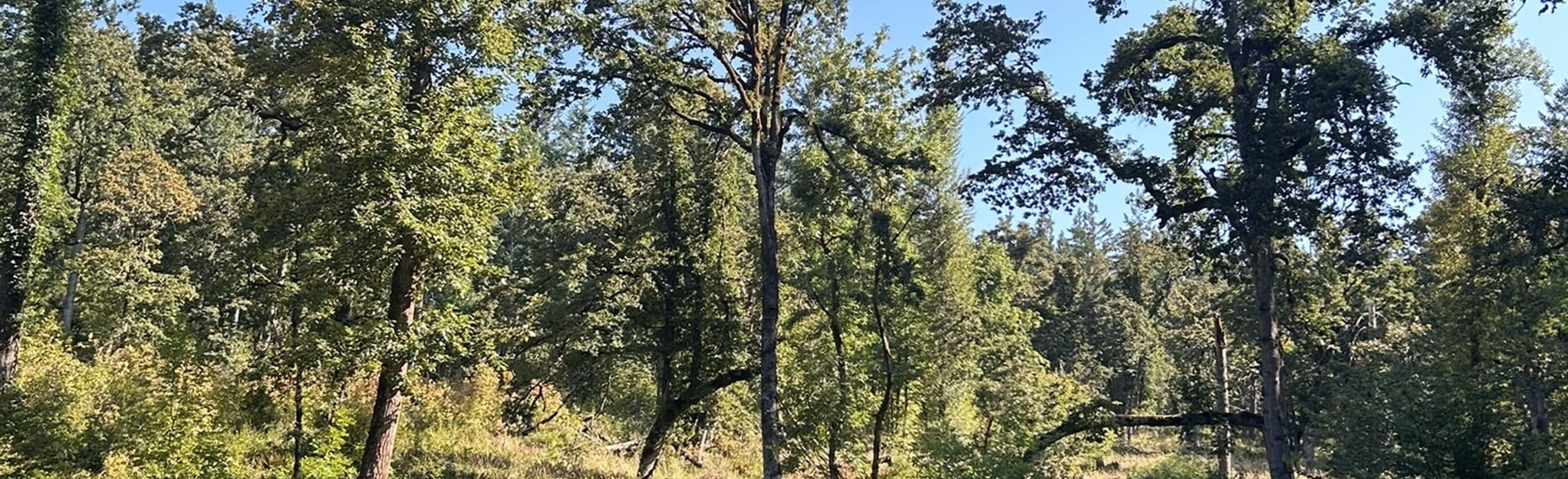 Park Loop and Summit Trail via Sunnyside Road Trail, Oregon - 306 ...