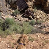 Round Valley, Utah - 191 Reviews, Map | AllTrails