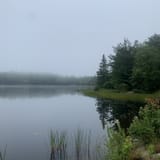 Lower Hadlock Pond Loop Trail, Maine - 576 Reviews, Map | AllTrails
