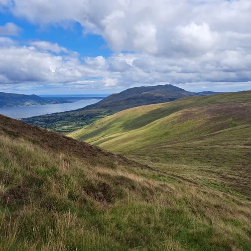 Best Hikes and Trails in Ravensdale Forest | AllTrails