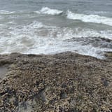 Hug Point Trail, Oregon - 755 Reviews, Map | AllTrails