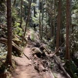 Murhut Falls Trail, Washington - 852 Reviews, Map | AllTrails