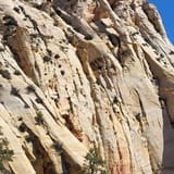 Hidden Arch Trail, Utah - 87 Reviews, Map | AllTrails