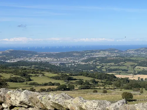 10 Best Forest Trails in Cardiff | AllTrails